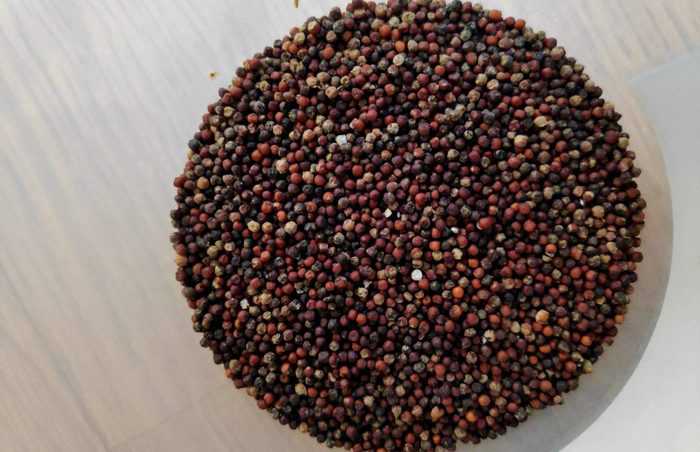 Benefits of Ragi in Hindi | रागी क्या है, जानिए इसके फायदे