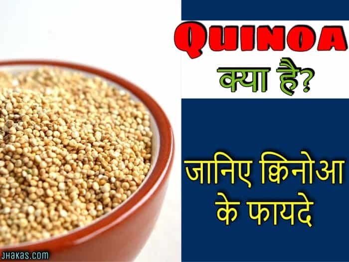 Benefits Of Quinoa In Hindi 