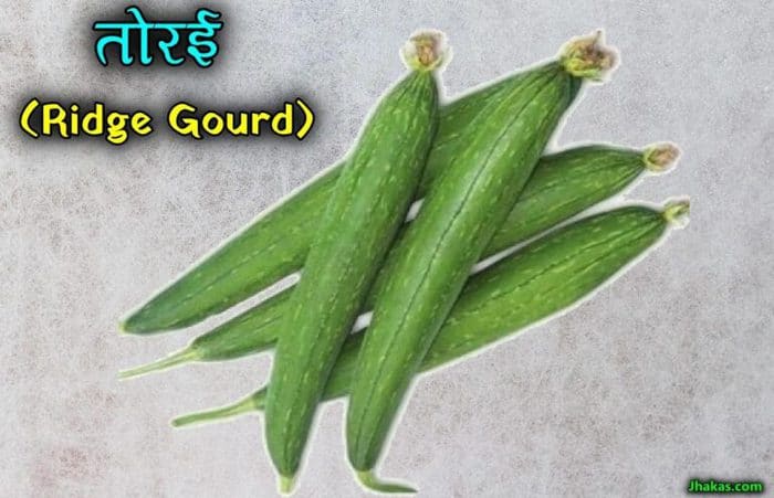 Health Benefits Of Ridge Gourd In Hindi health-benefits-of-ridge-gourd-in-hindi